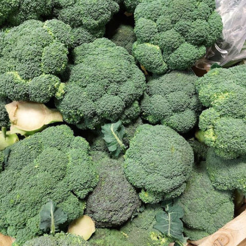 Broccoli 500g new season Spanish | Thames Fruit & Veg