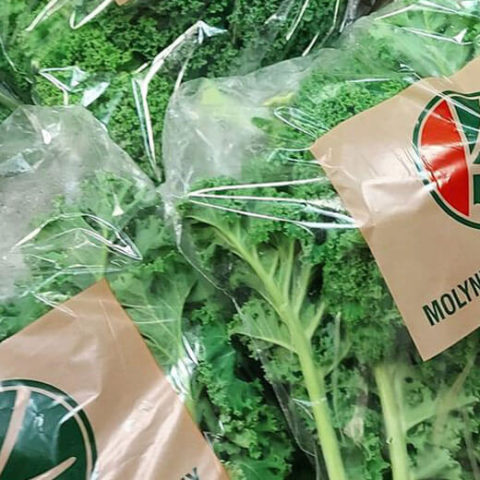 Kale (Bag) | Thames Fruit & Veg