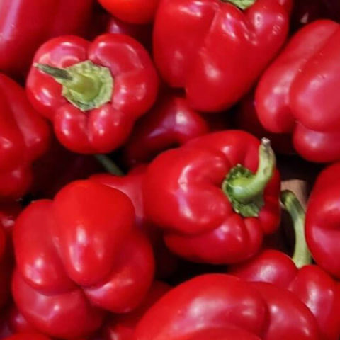 Red Pepper large | Thames Fruit & Veg