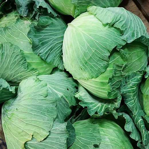 Spring Cabbage | Thames Fruit & Veg