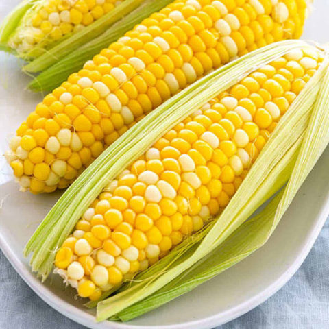 Sweetcorn (Twin Pack Pre-Cooked) | Thames Fruit & Veg