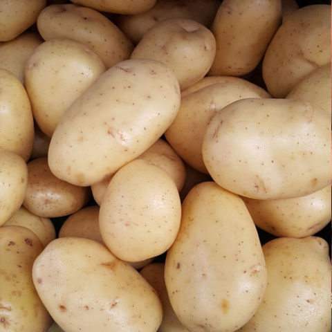 Washed All Round Potatoes 2kg | Thames Fruit & Veg